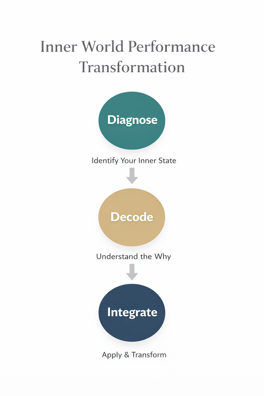 The Inner World Check - Build Emotional Resilience & Mental Clarity For ...